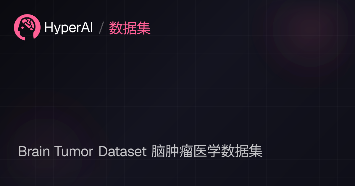 Brain Tumor Dataset 脑肿瘤医学数据集 | Datasets | HyperAI超神经