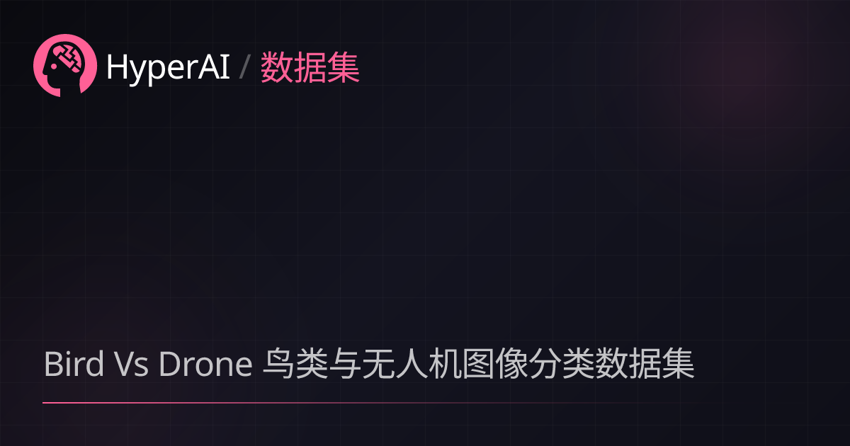 Bird Vs Drone 鸟类与无人机图像分类数据集 | Datasets | HyperAI超神经